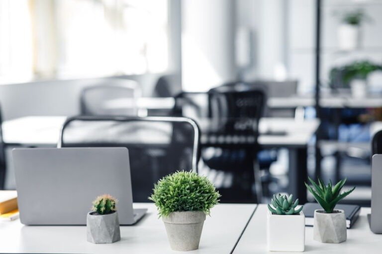 How to Add More Green to a Workspace for Better Productivity | The ...