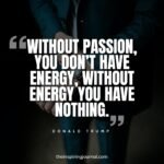 87 Passion Quotes to Inspire Your Dreams and Drive | The Inspiring Journal