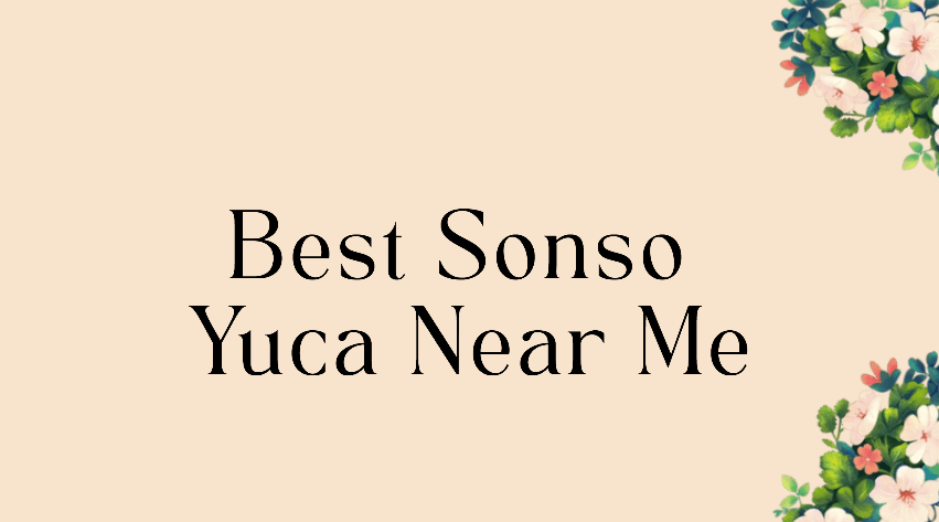 Best Sonso Yuca Near Me